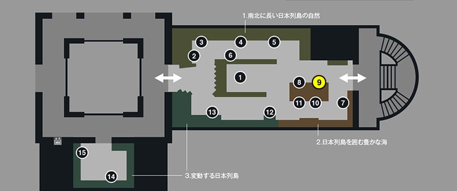 展示詳細 | 常設展示データベース