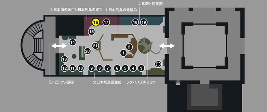 展示詳細 | 常設展示データベース