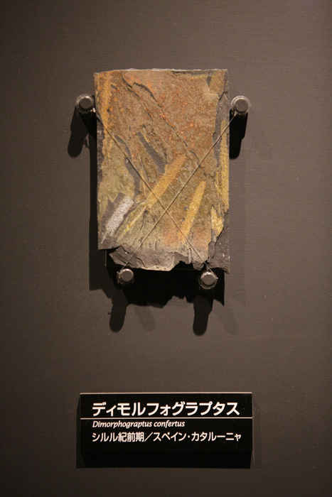 画像表示 | 常設展示データベース